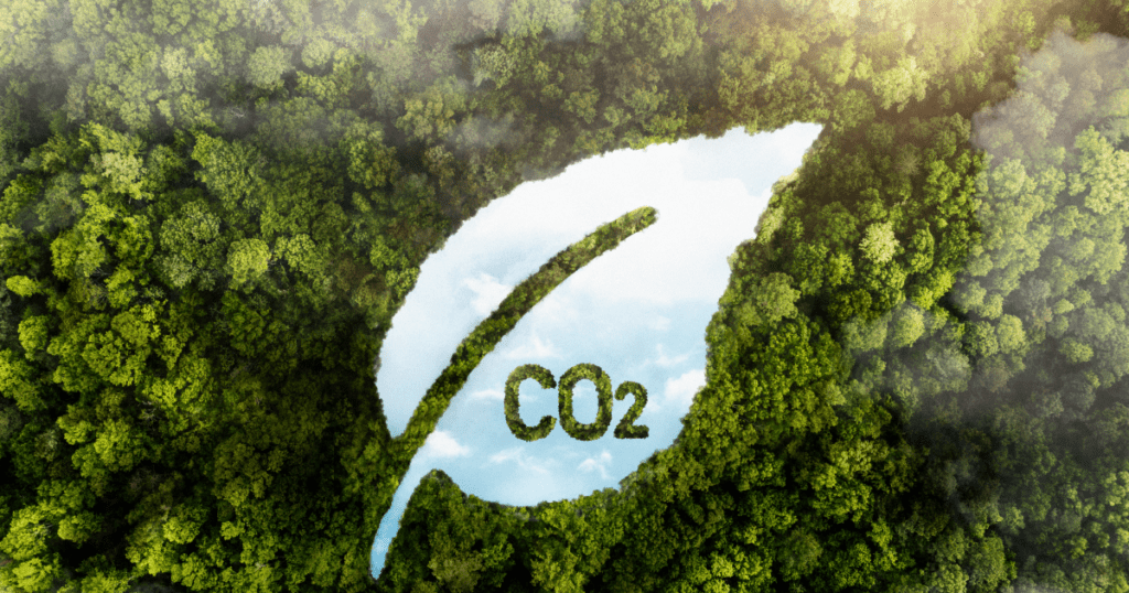 Understanding the Top 10 Sustainability Terms in Corporate Travel